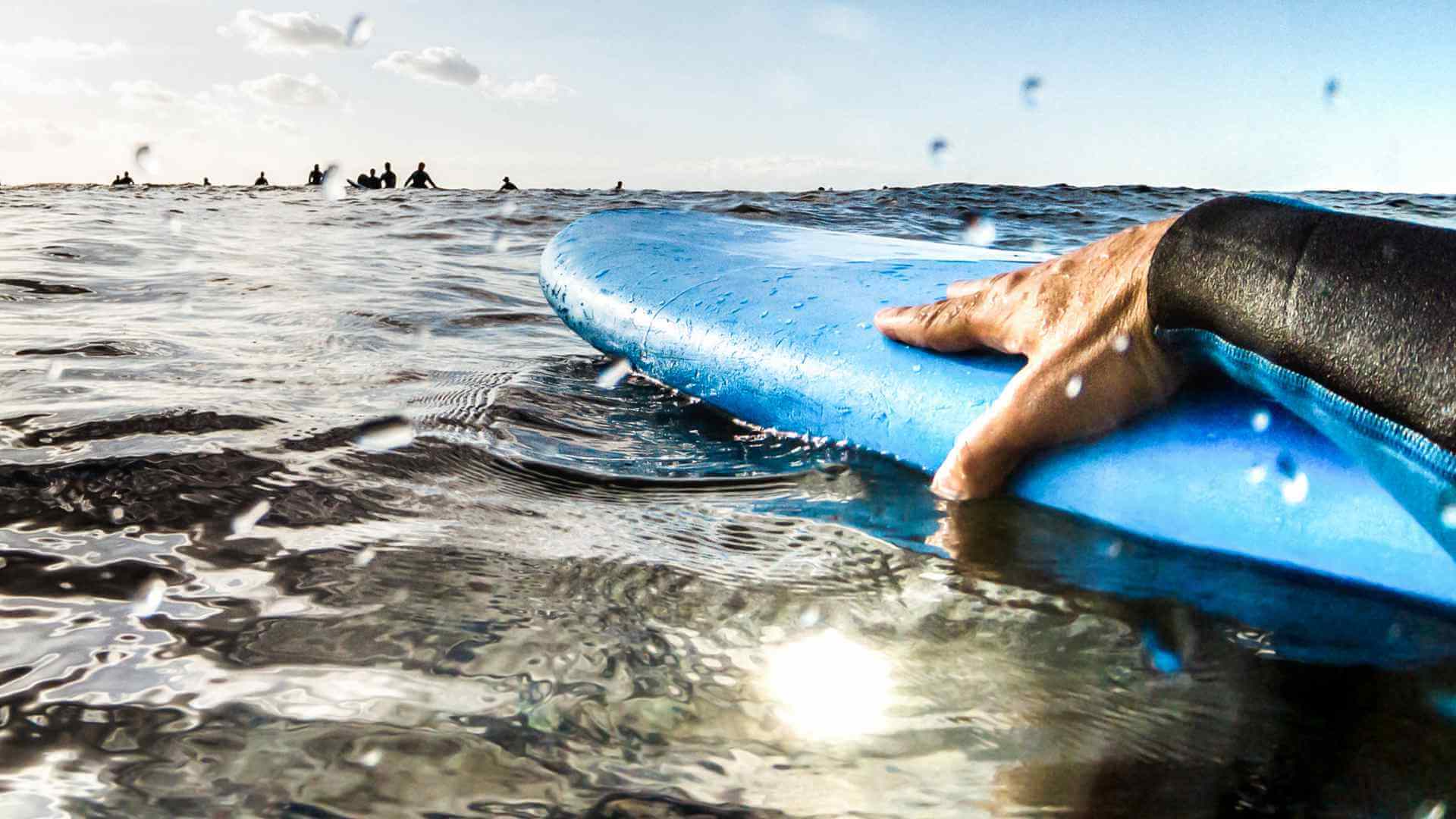 Surf equipment rental - Ocean Lovers Surf School